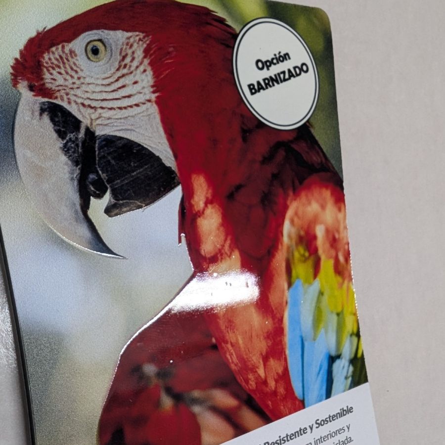 Black PVC 5 mm | Sostenible e Impresión Directa UV